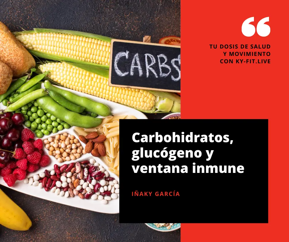 Carbohidratos y sistema inmune: por qué el post entreno importa - Ky ...